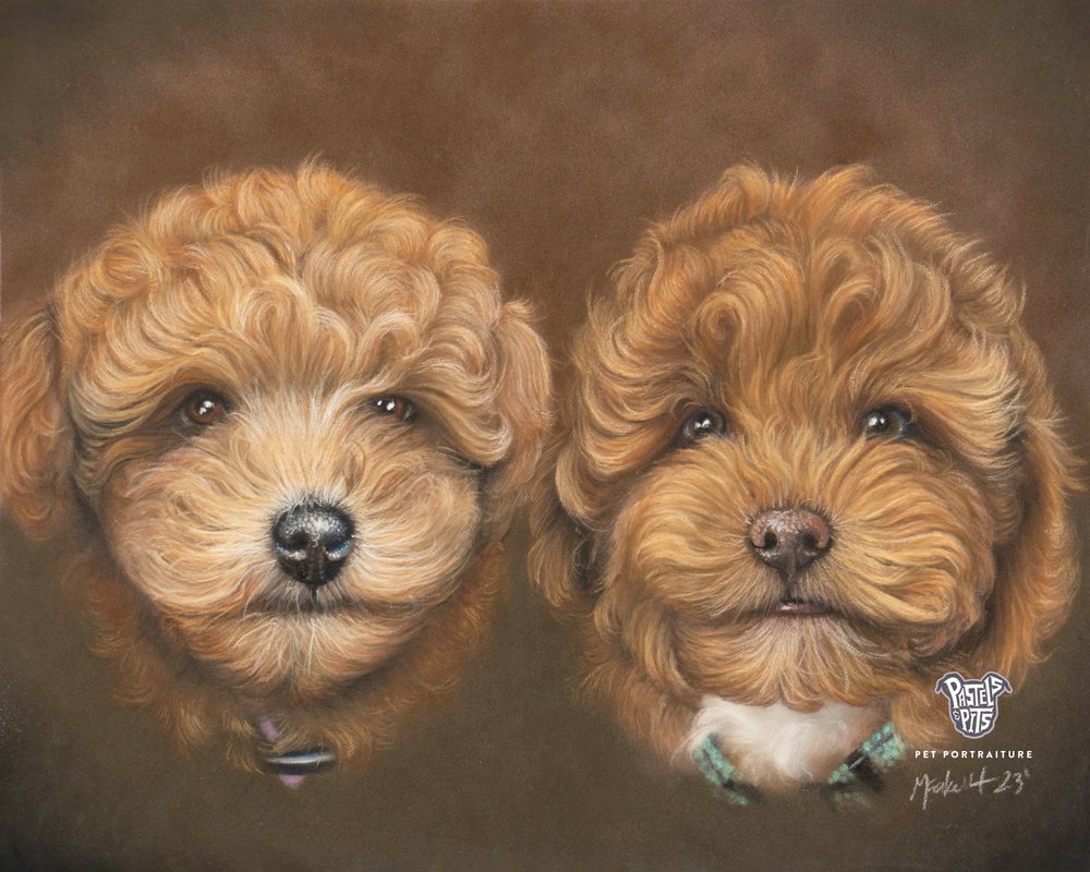 Dog Pastel Portrait Gallery — Pastels and Pits Pastel Pet Portraits