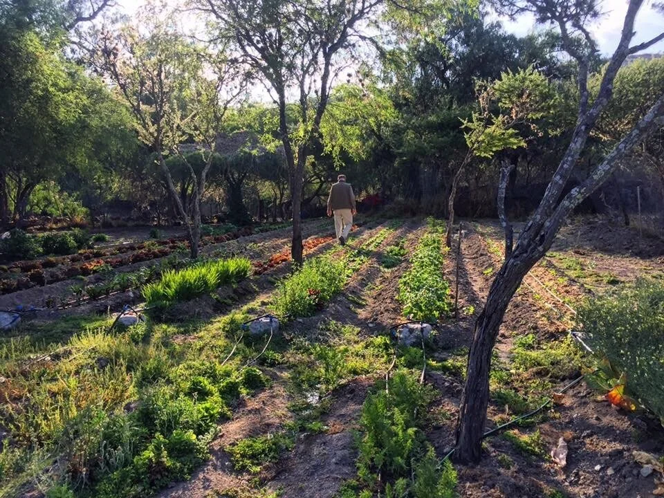 Rancho Orgánico — CAÑADA DE LA VIRGEN