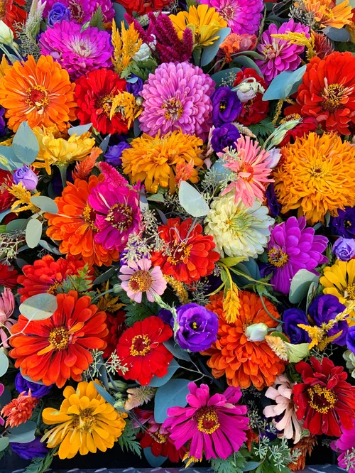 Edwards Greenhouse & Flowershop