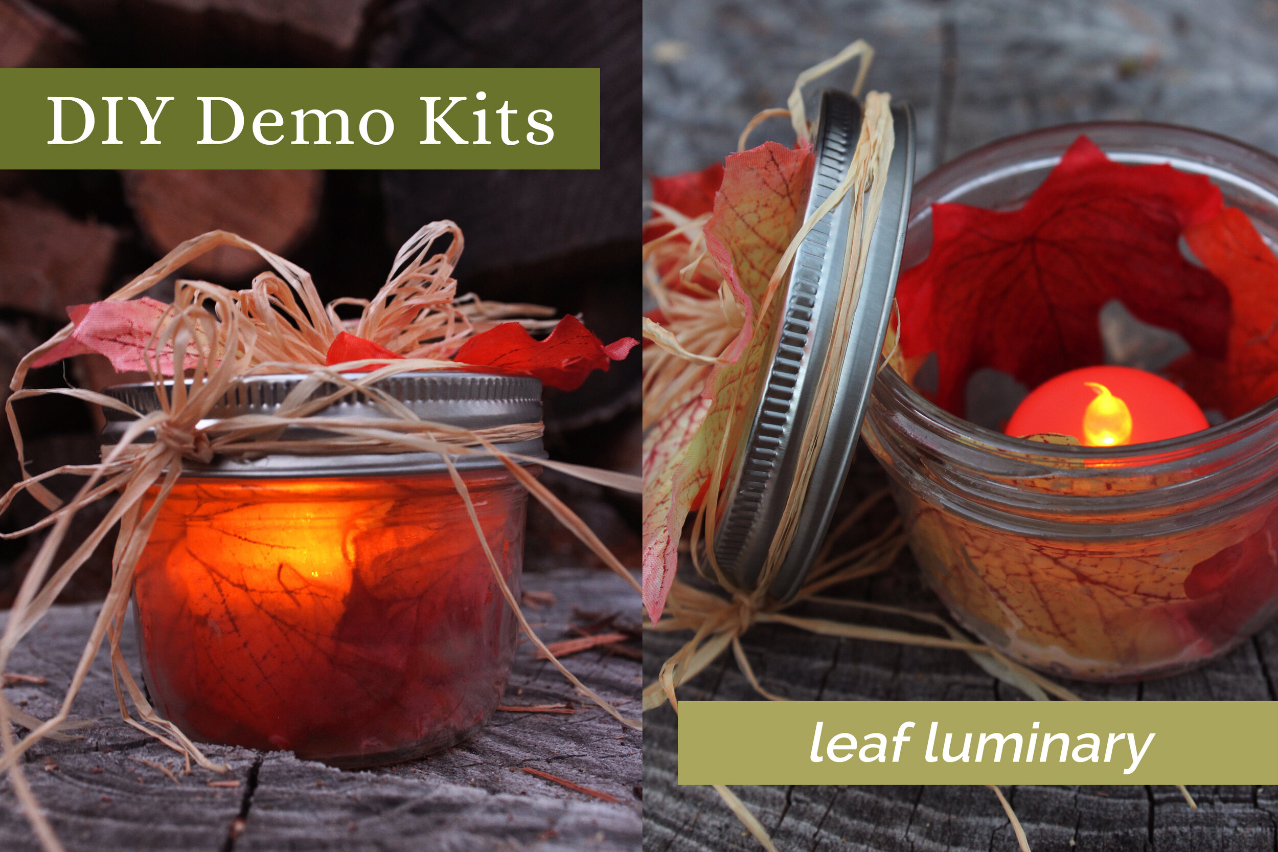 DIY Demo Kit: Leaf Luminary — Edwards Greenhouse & Flowershop