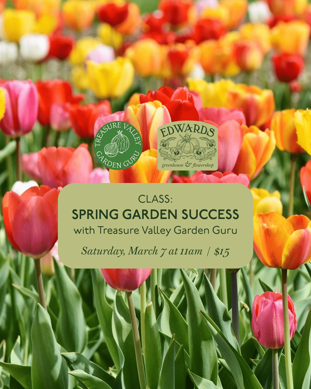 Class: Spring Garden Success — Edwards Greenhouse & Flowershop