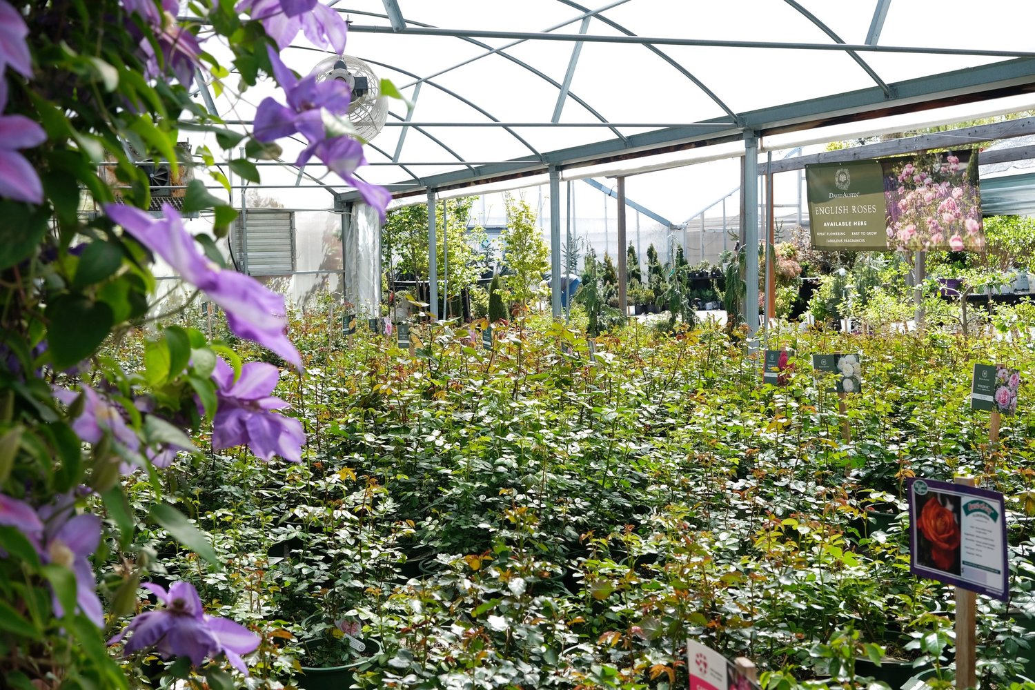 Edwards Greenhouse & Flowershop