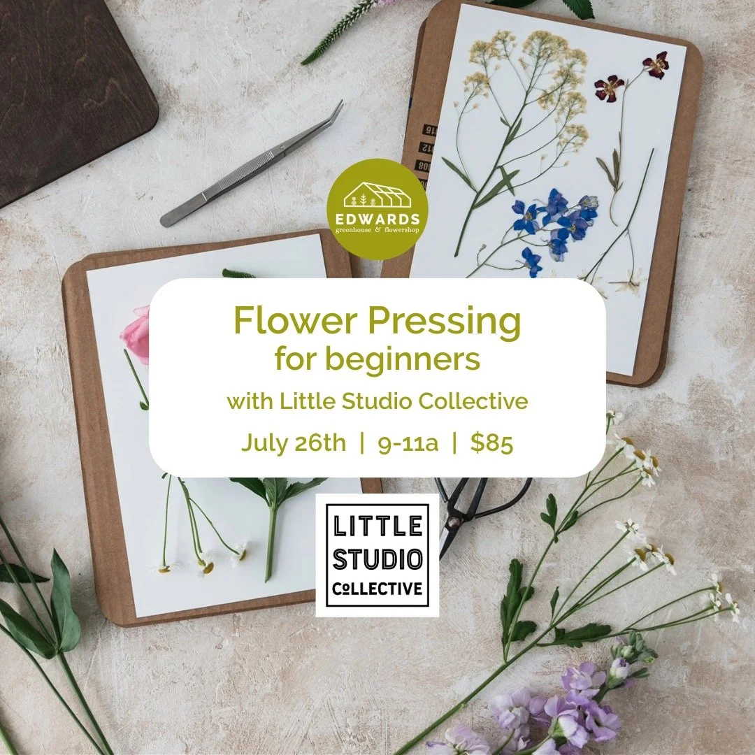 Flower Pressing for Beginners — Edwards Greenhouse & Flowershop