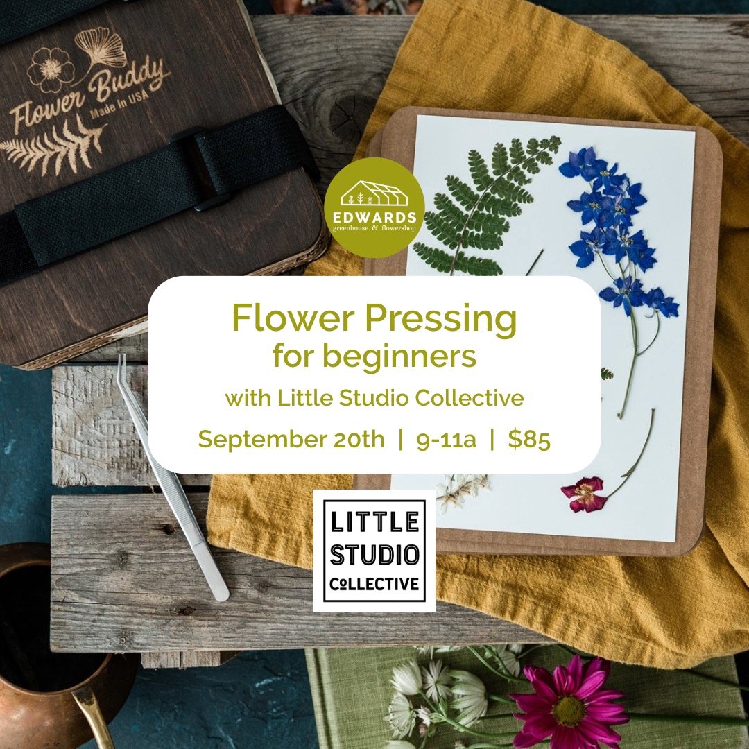 Flower Pressing for Beginners — Edwards Greenhouse & Flowershop