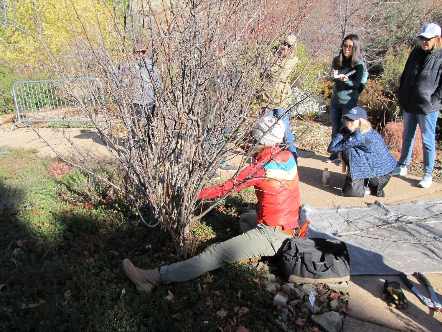 Class | Pruning 101: Overcoming Paralysis — Edwards Greenhouse & Flowershop