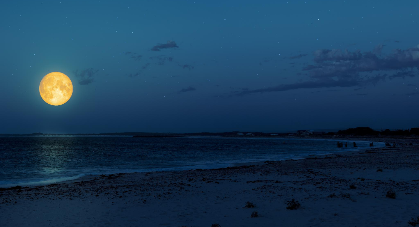 SleepImage Ring Single Night Sleep Study Credit for Heathcare Providers ...