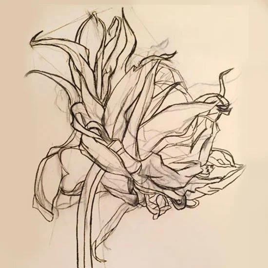 Gallery 3 — Two Graces, Art Books and Curios, Taos, NM