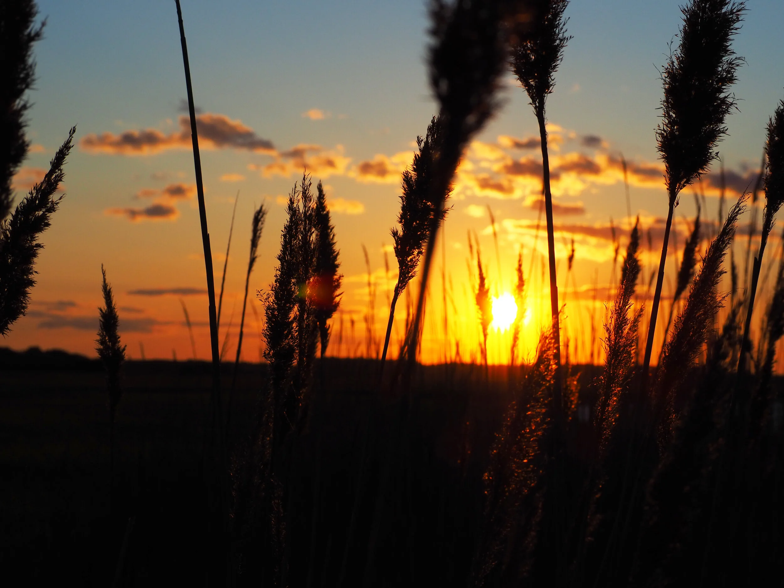 Kevin Lynam Photography