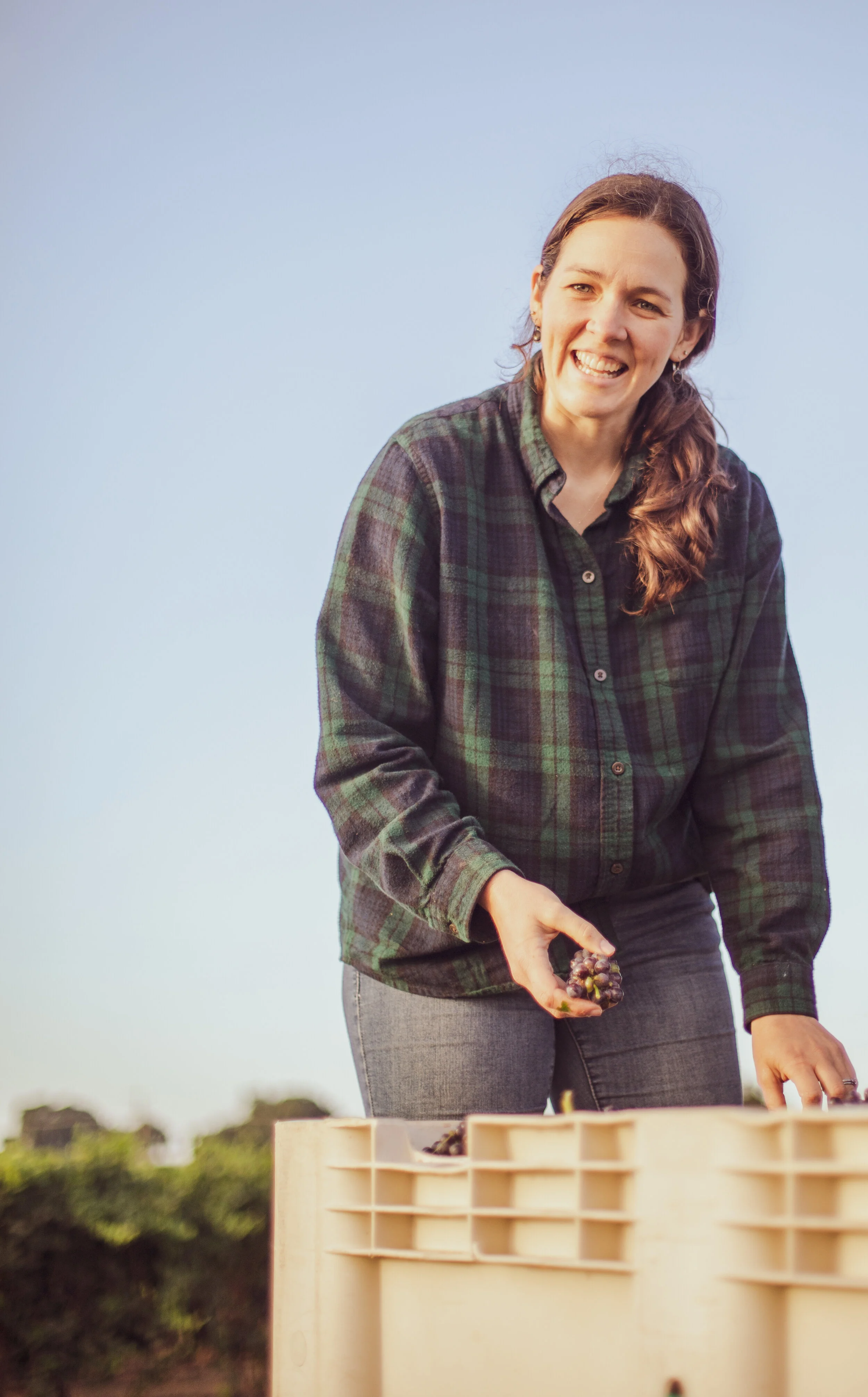 Carboniste | Modern Sparkling Wine