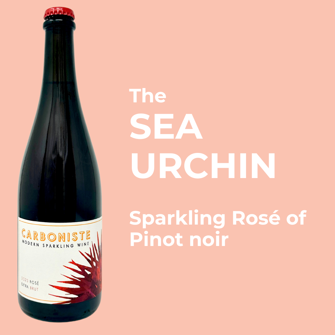 Ride the Waves with SEA URCHIN Sparkling Rosé — Carboniste | Modern Sparkling Wine