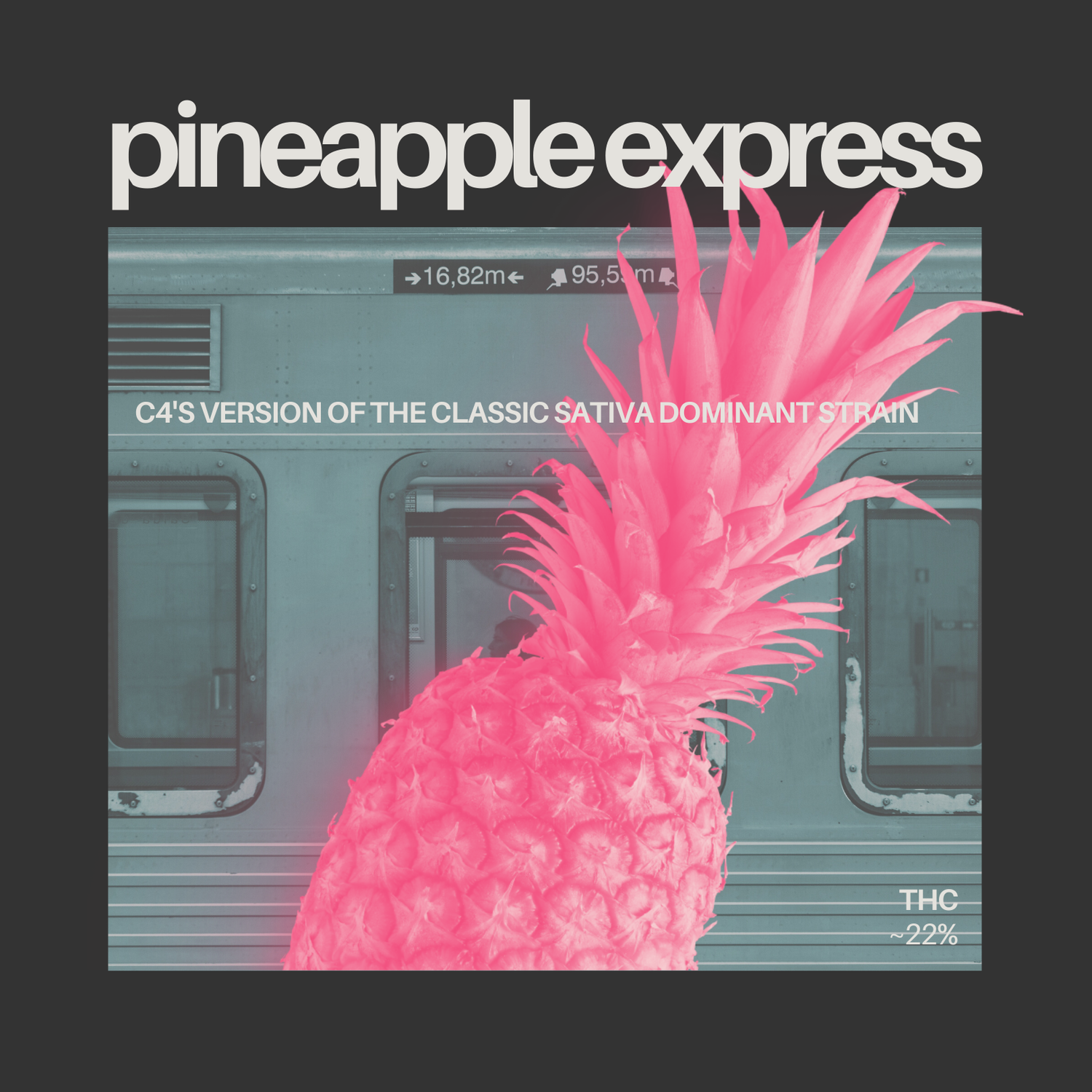 Pineapple Express — Carroll County Cannabis Co.