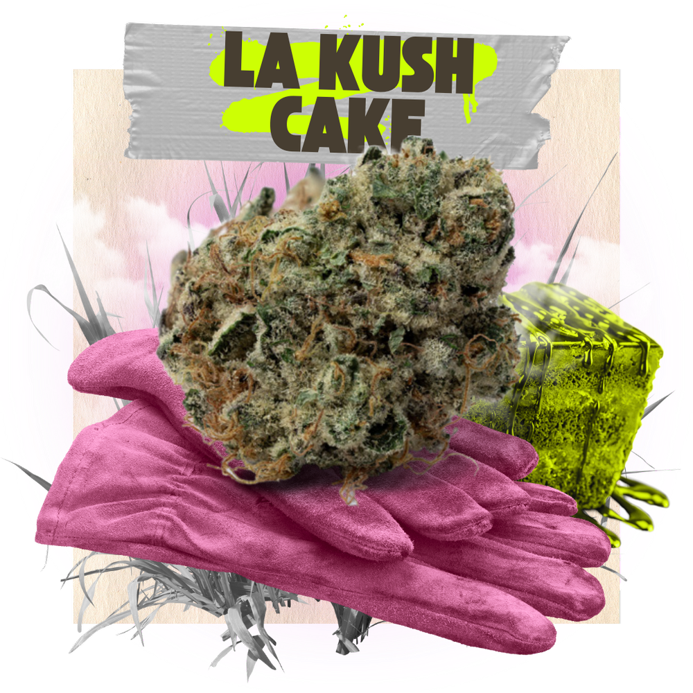 Belushi's Farm Strains — Carroll County Cannabis Co.