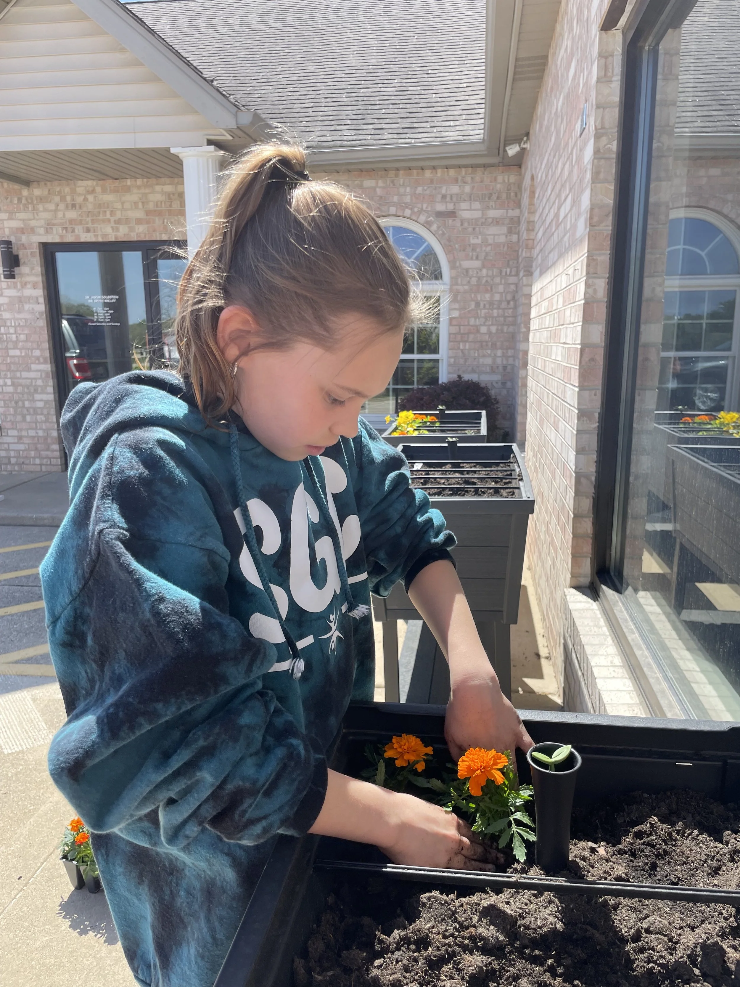 AlignLife of Springfield Chiropractic creates a children’s garden ...