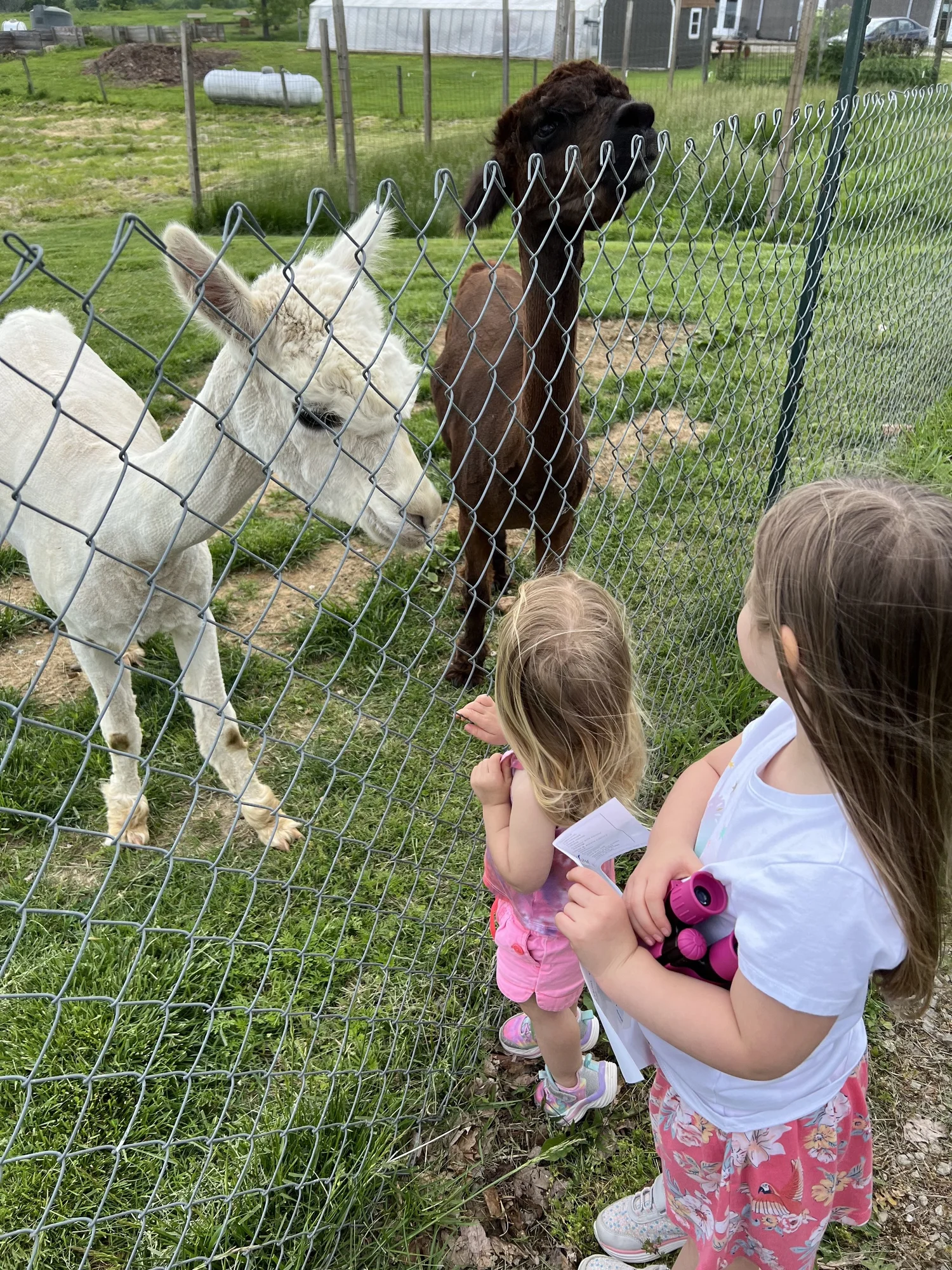 13 of the best things to do with kids in Springfield, Illinois ...