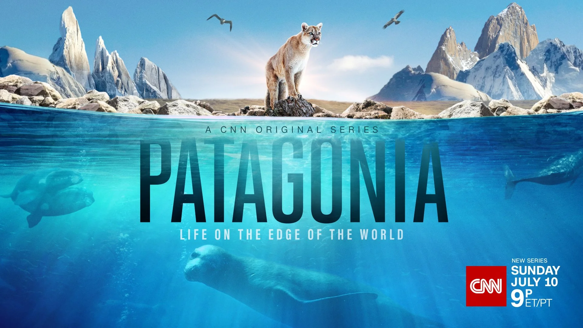 Watchlist - Patagonia — Dornish Queen
