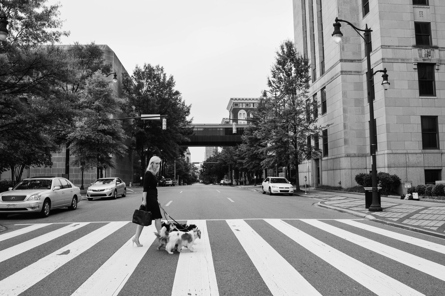 Angie Ingram, Attorney at Law