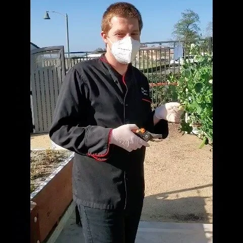 Volunteer — Goin Native