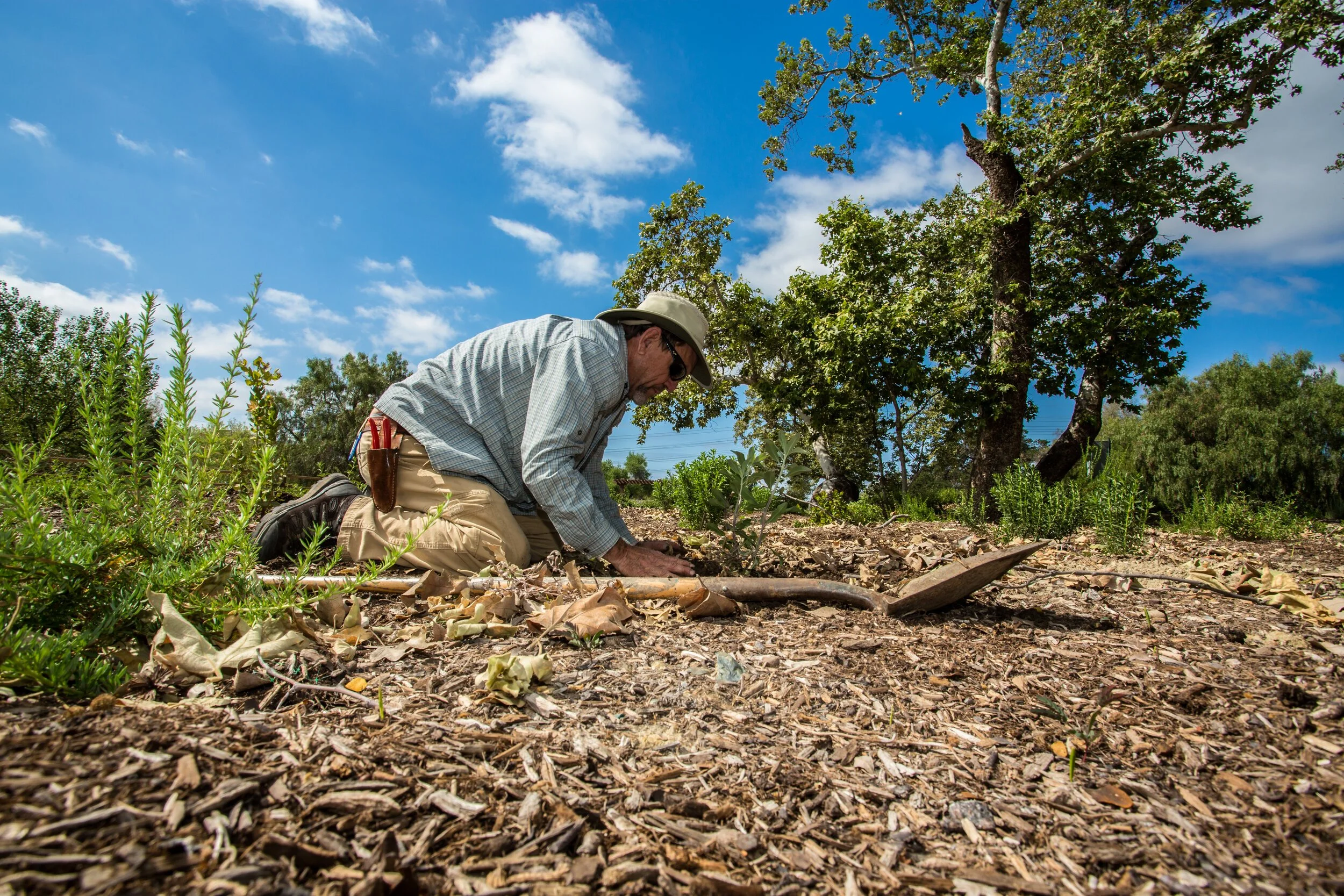 Programs — Goin Native