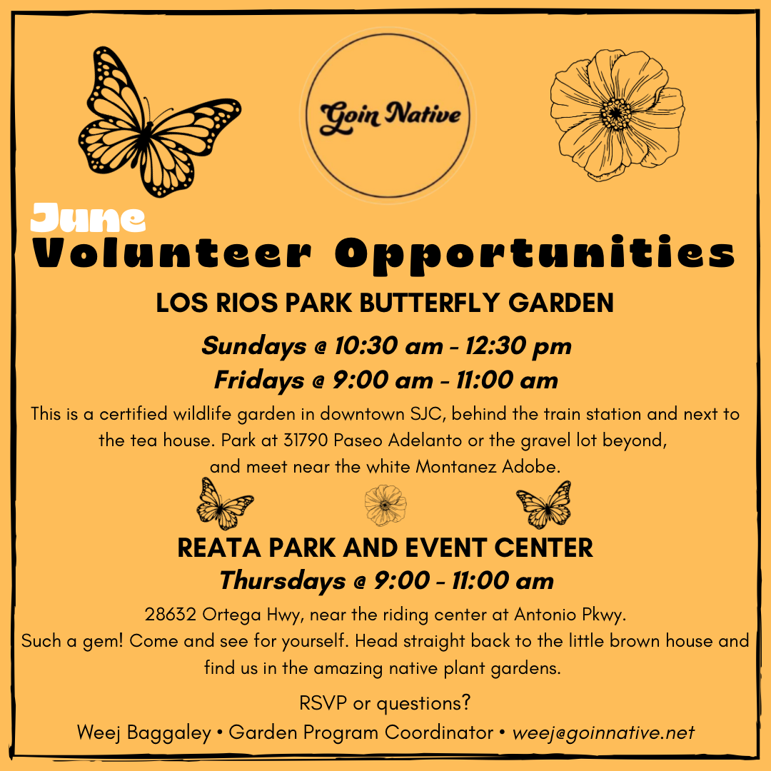 Volunteer — Goin Native