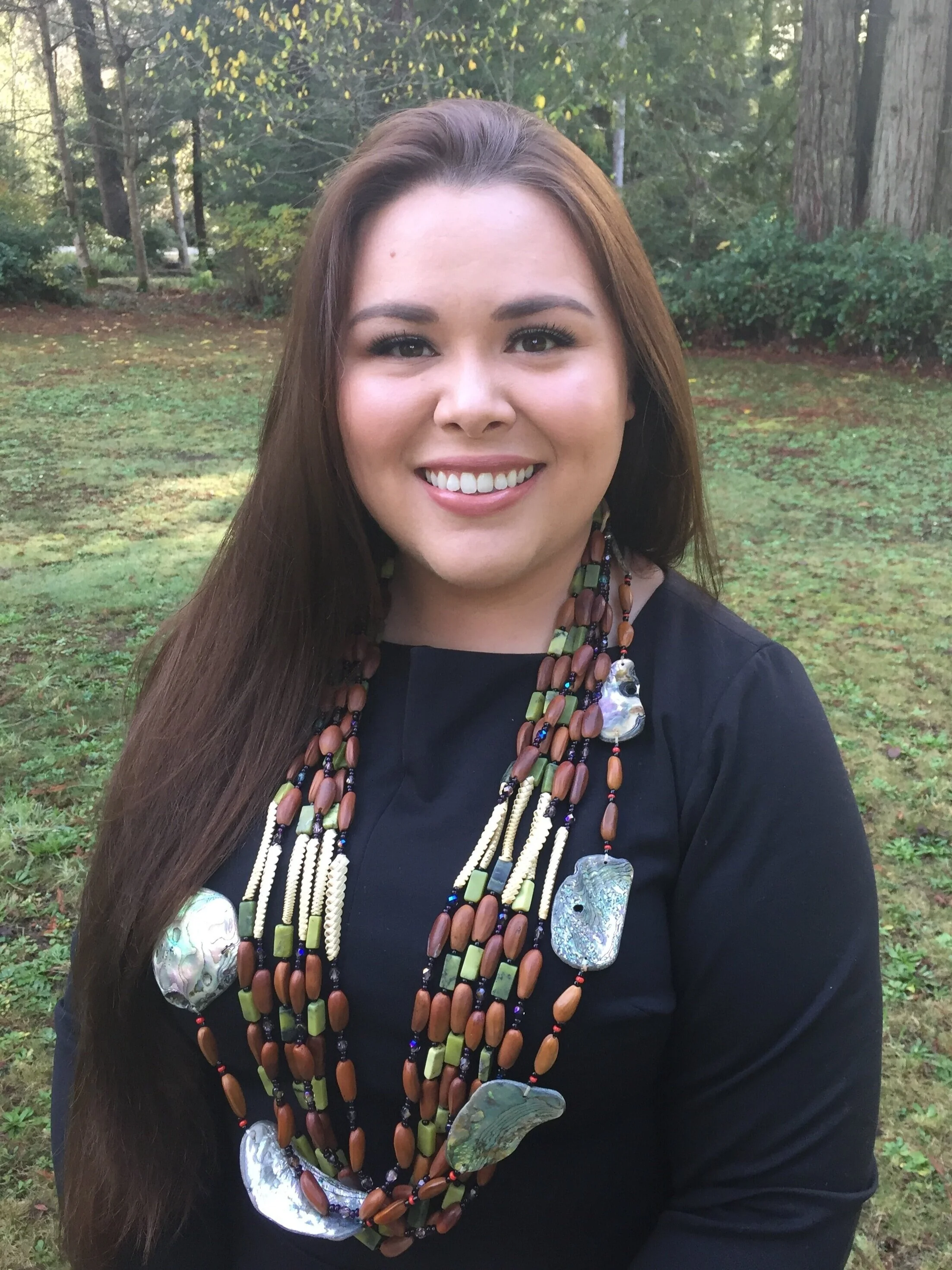 About Us — Native Action Network