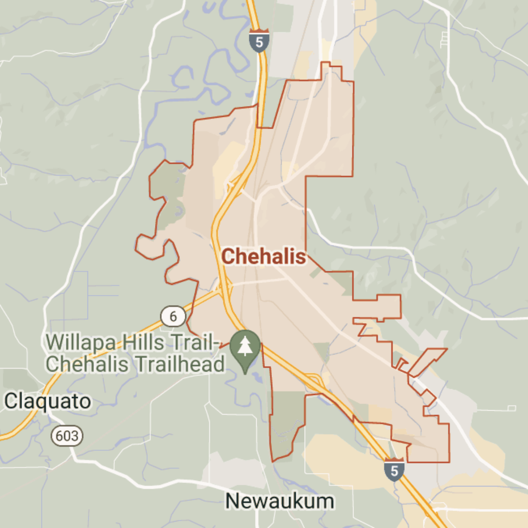 Native Nonprofits 101 — Native Action Network