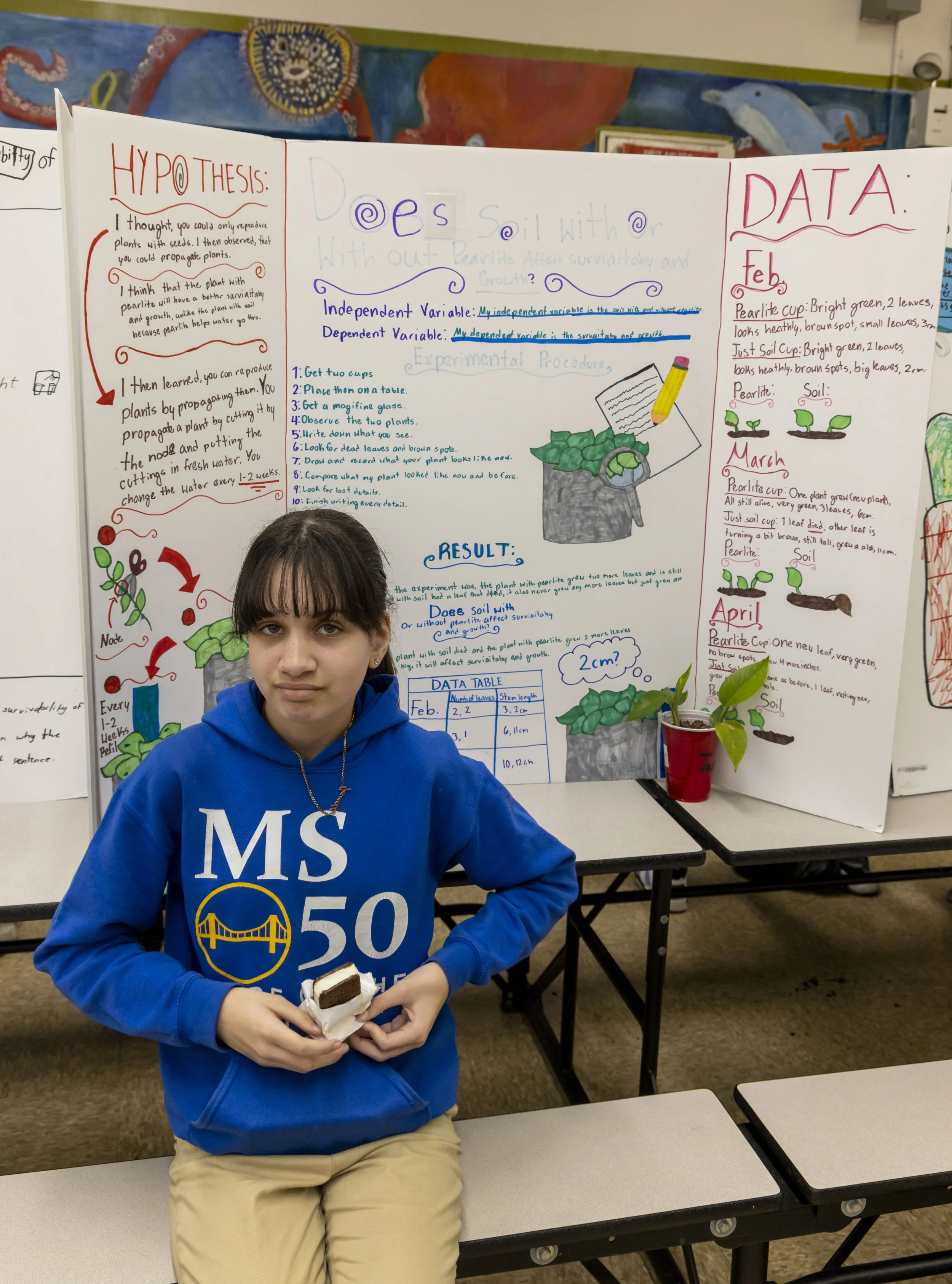 Science Fair Projects For 6th Grade