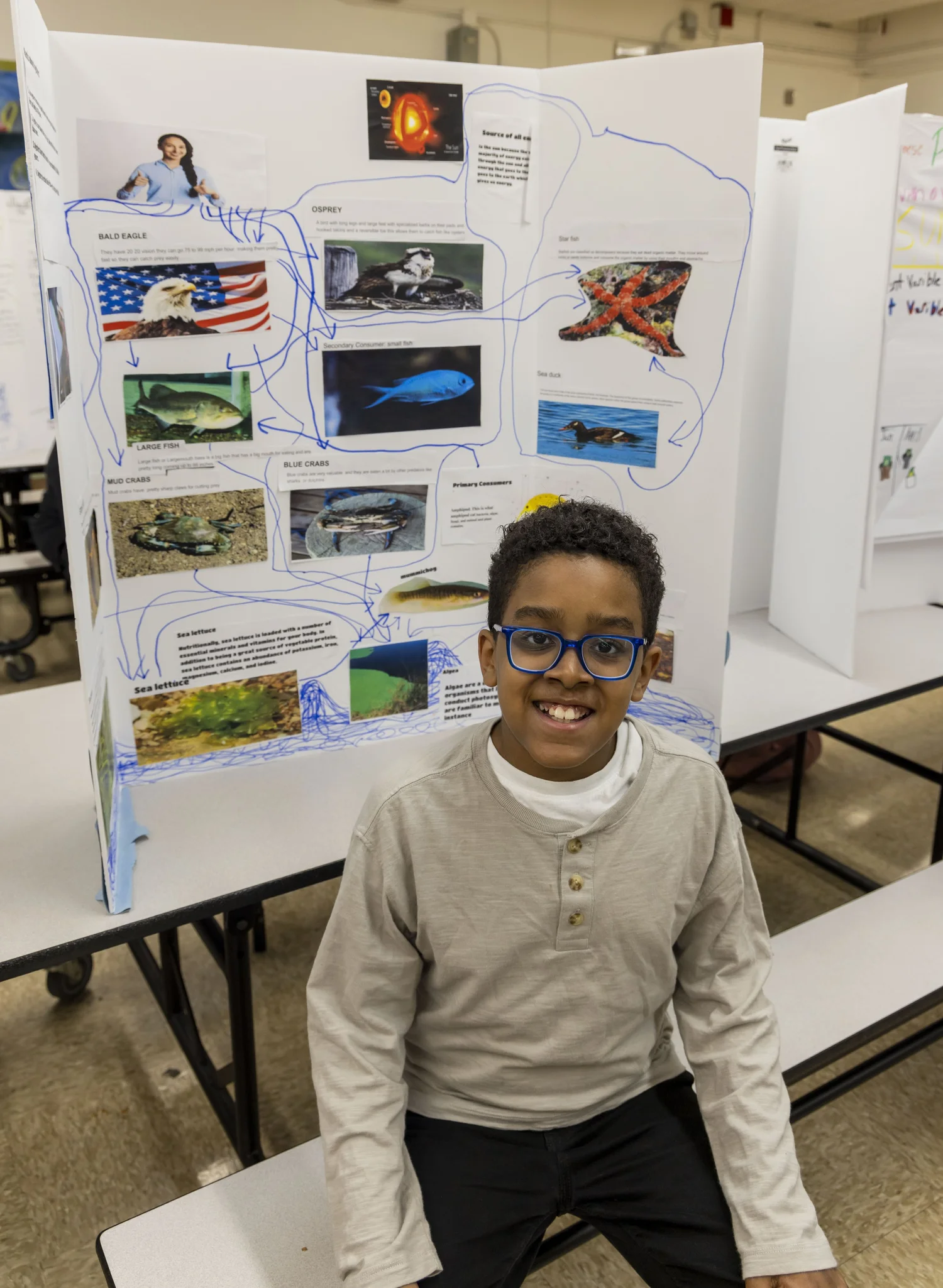 Middle School Science Fair Projects