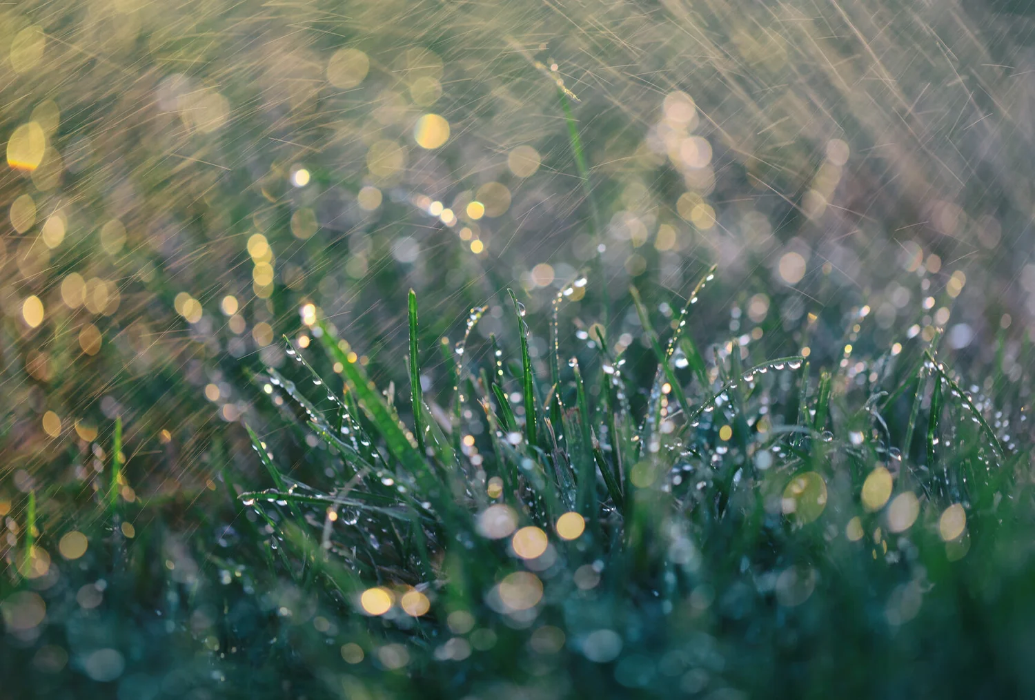 Careers — Advanced Sprinkler
