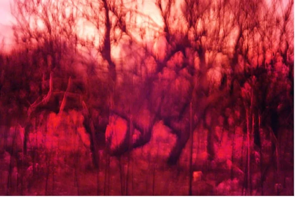 & Gallery Australia -Lisa Anderson