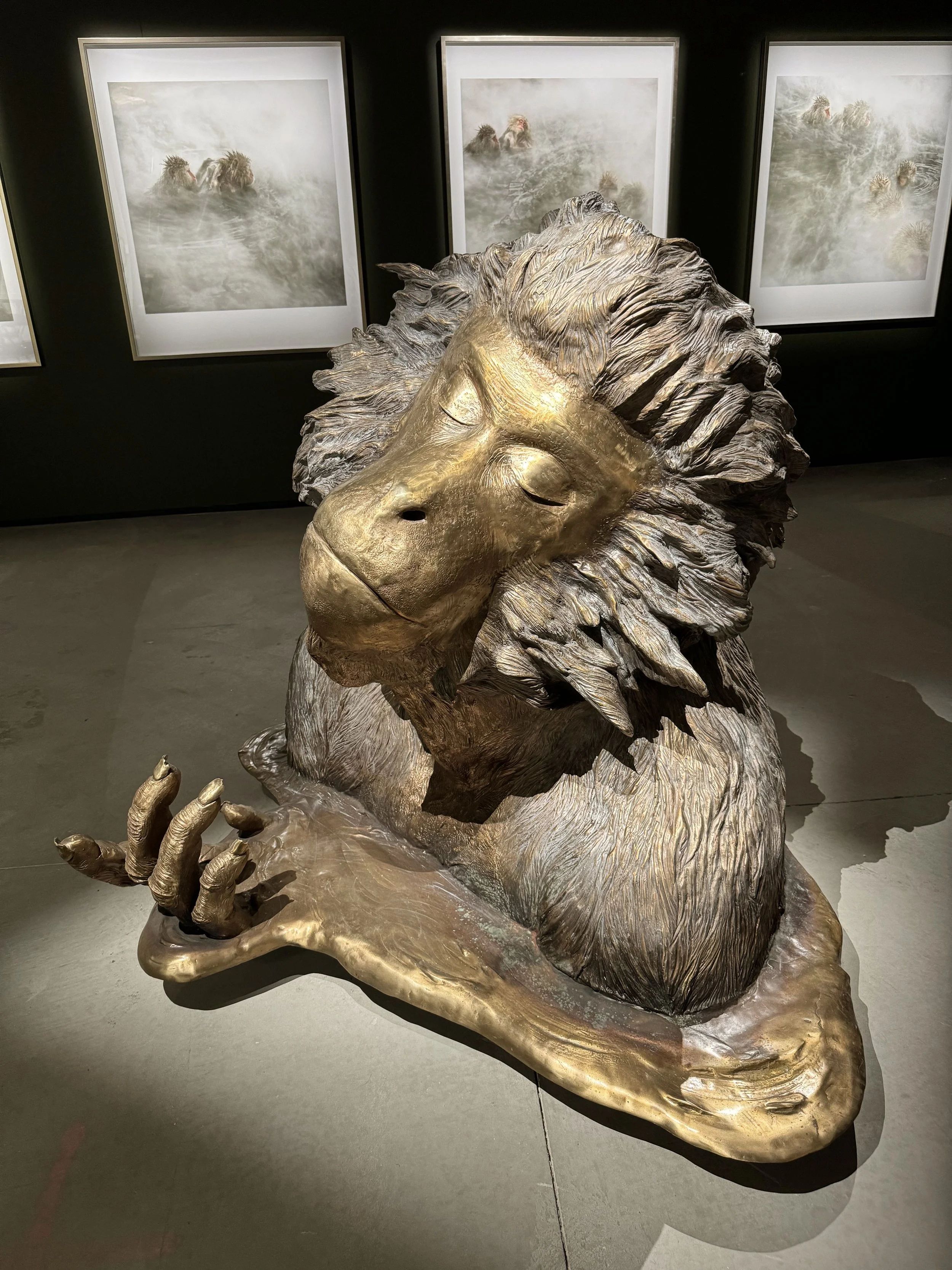 & Gallery Australia -Lisa Roet