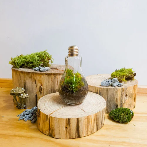 Hand Made Closed Terrariums — Jungle Botanics