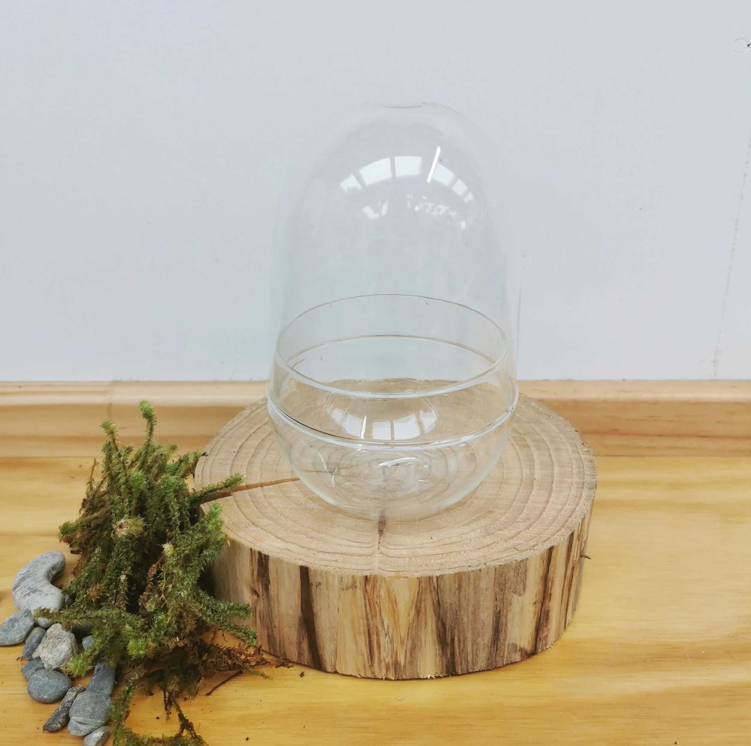 DIY Terrarium Kits — Jungle Botanics