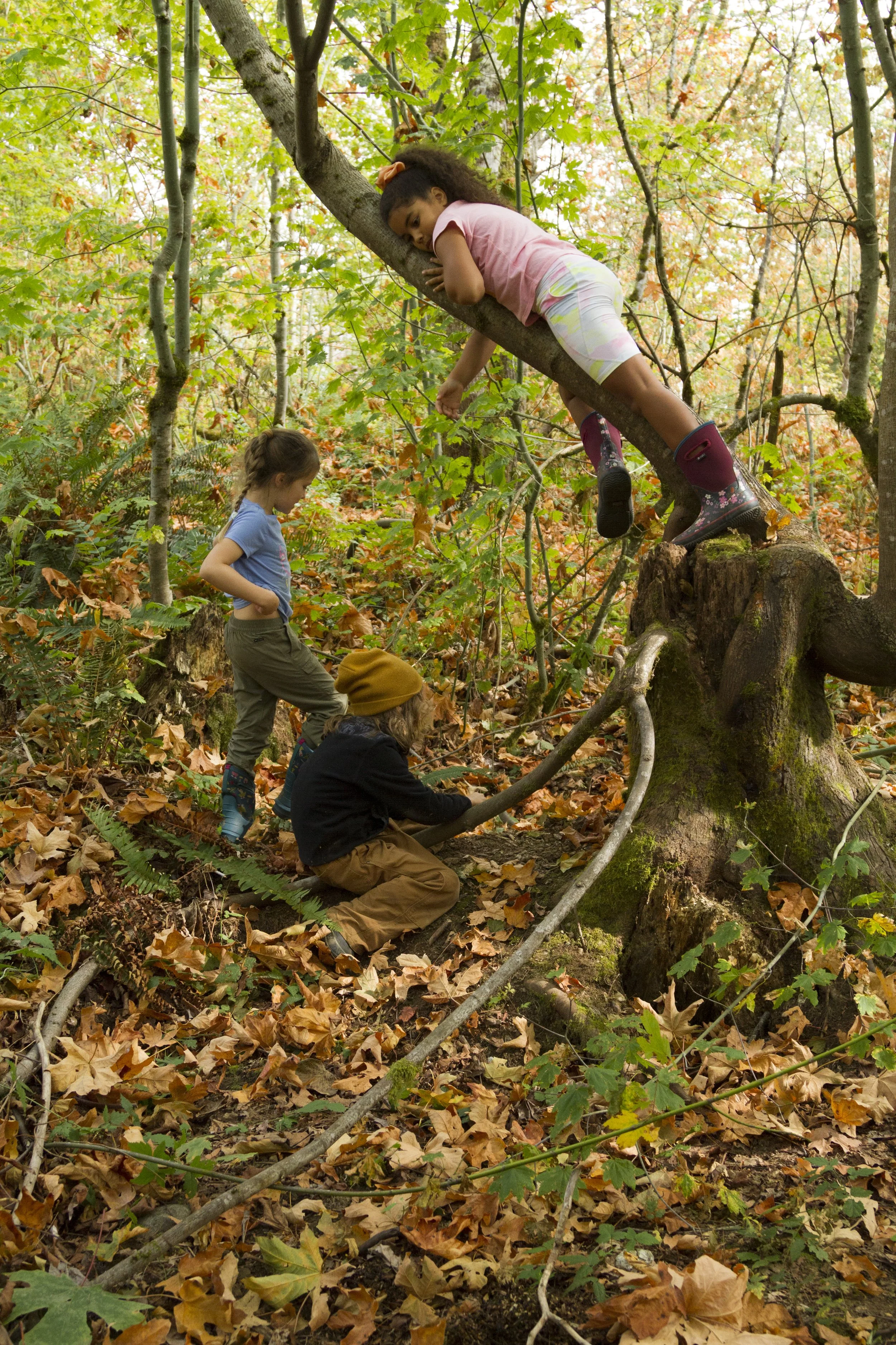 Forest School — Natural Learning Northwest