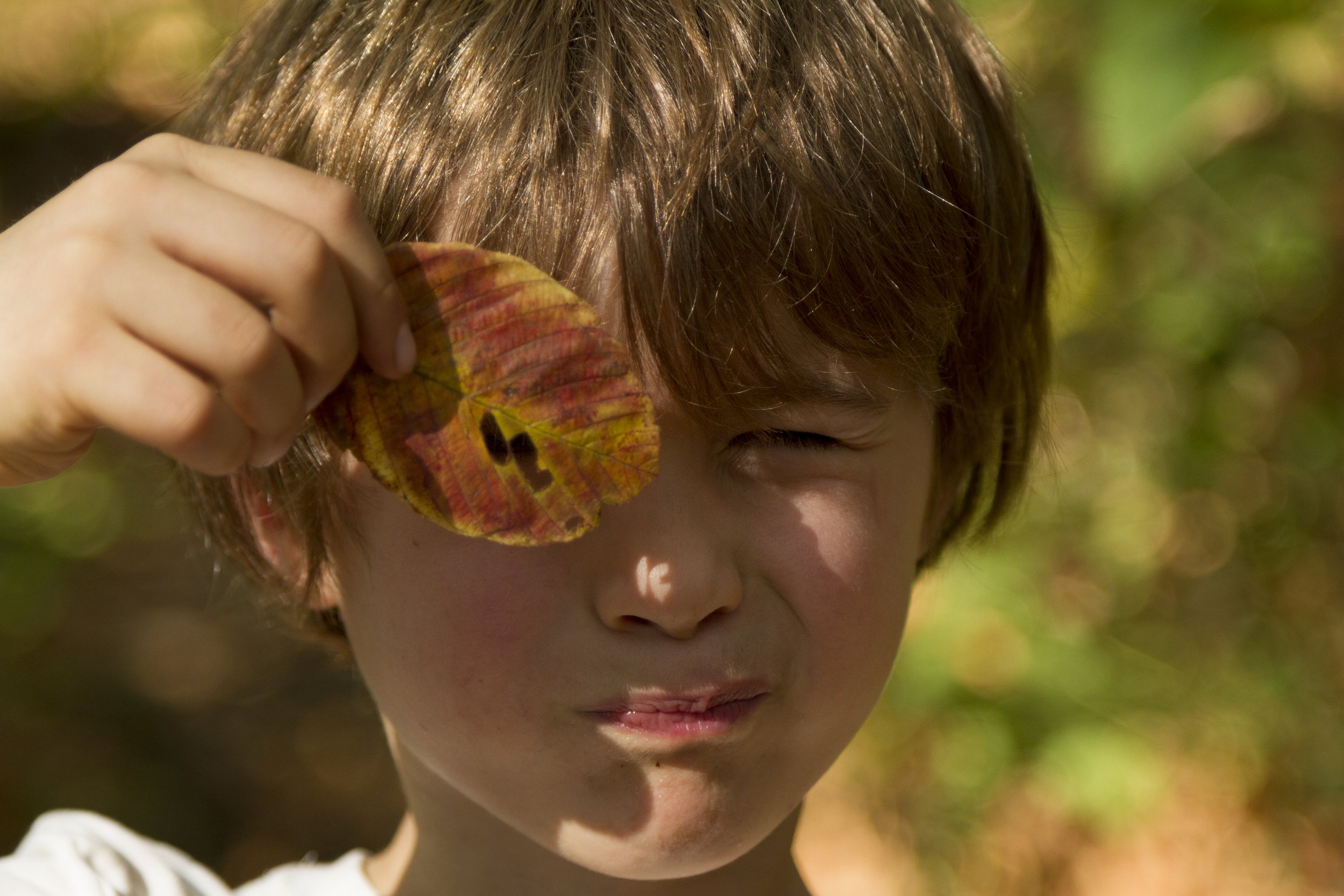 Forest School — Natural Learning Northwest