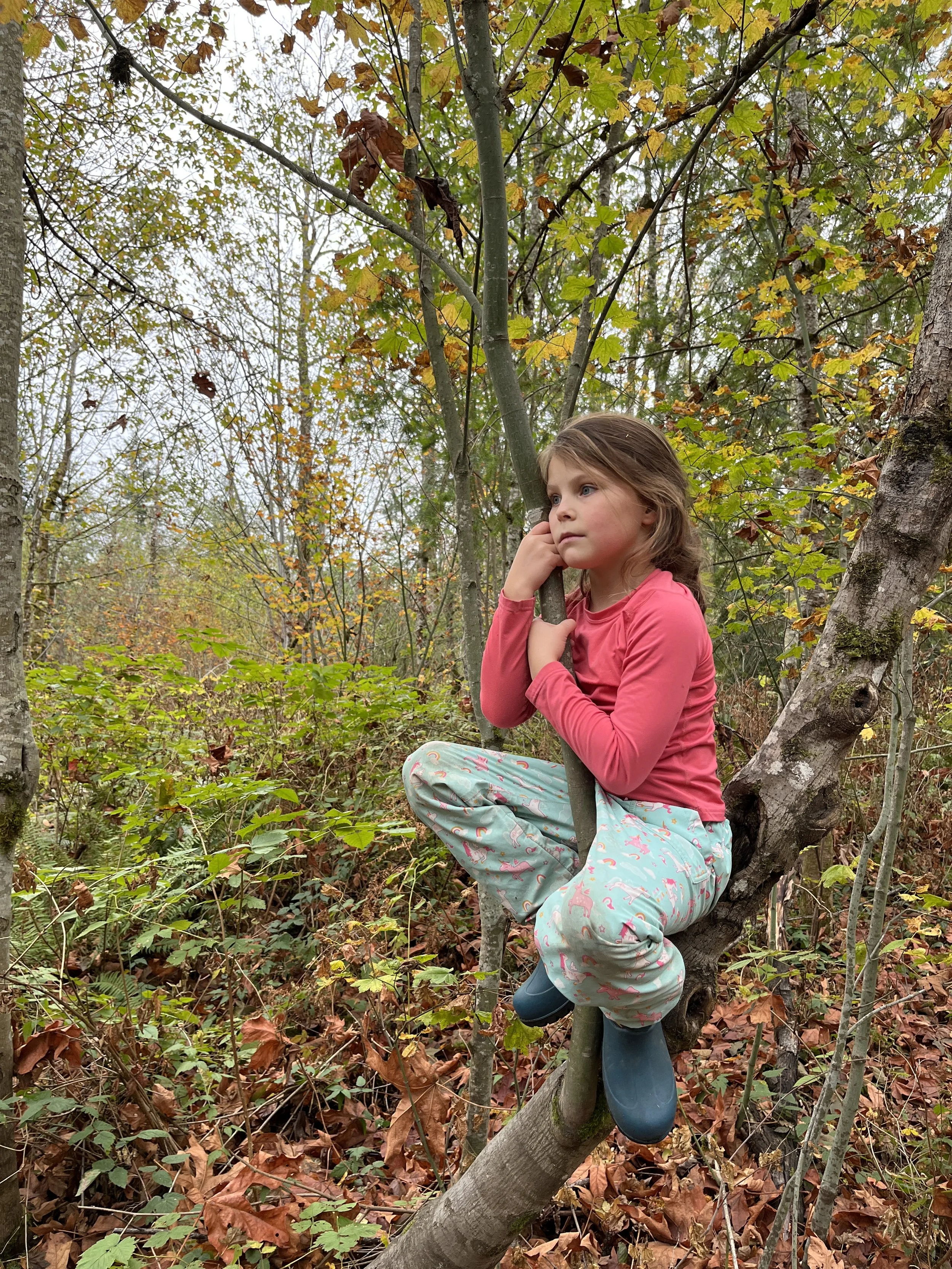 Forest School — Natural Learning Northwest