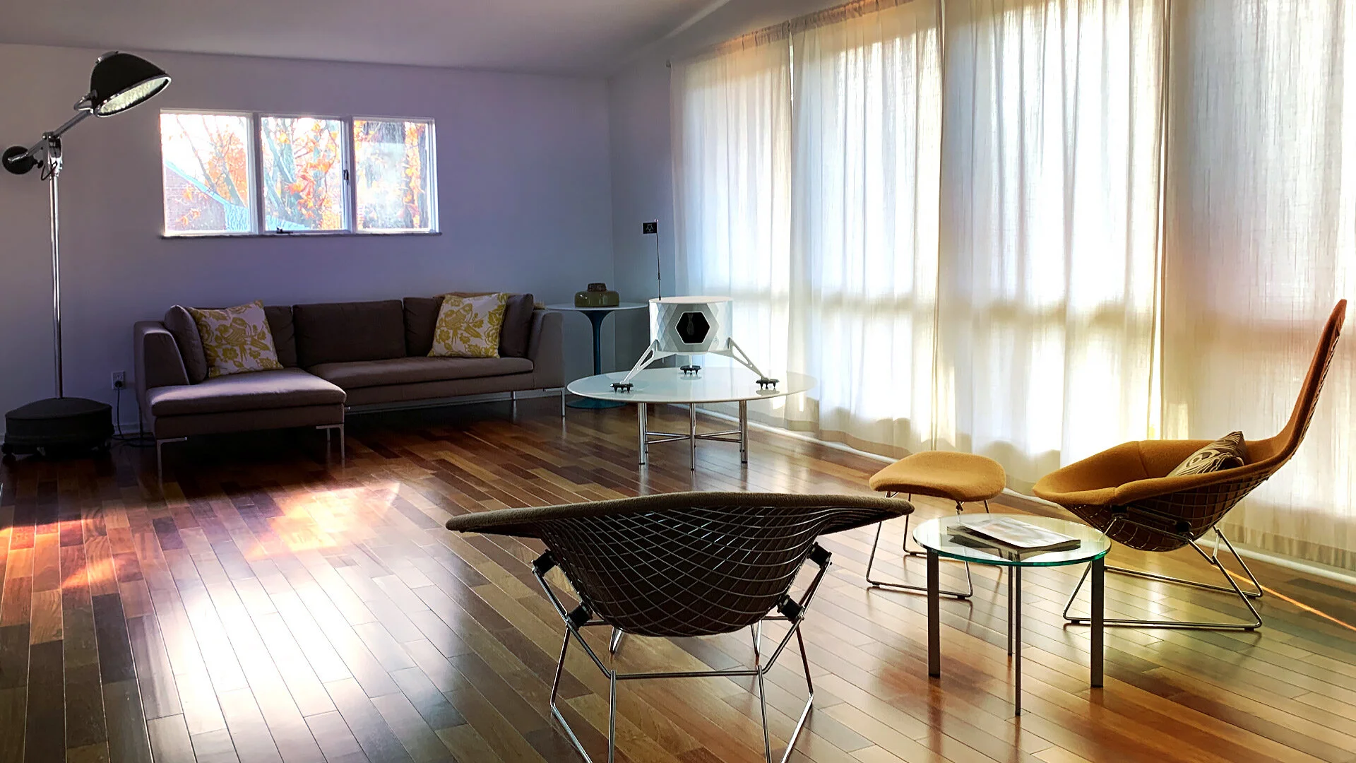 CATSA - Refined Feline Design for Cat Lovers