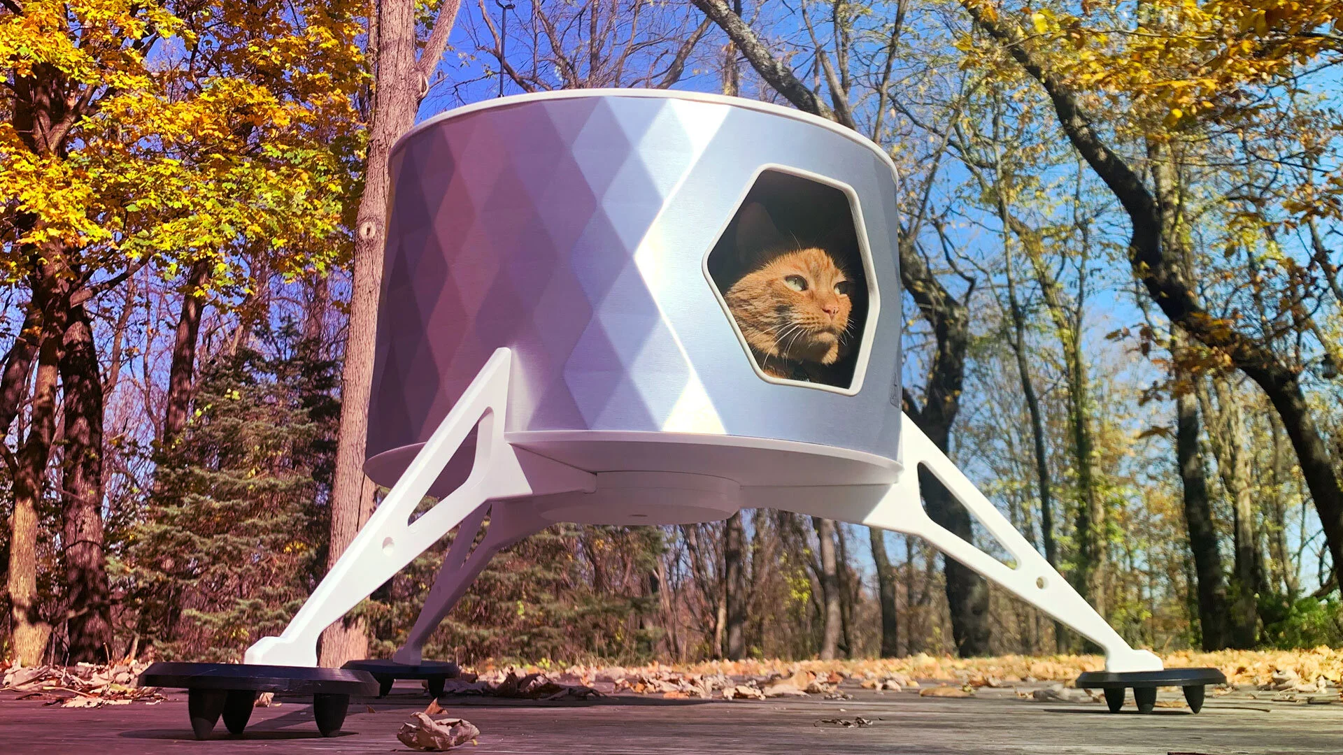 CATSA - Refined Feline Design for Cat Lovers