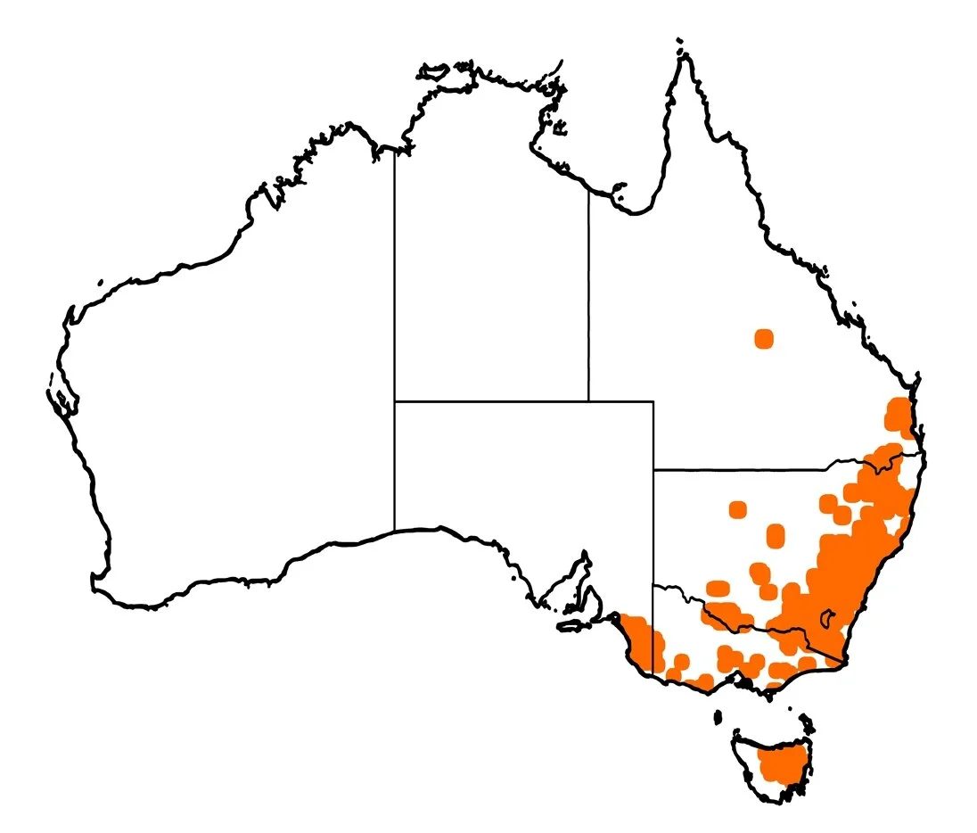CC - project deer — Northern Yarra Landcare Network