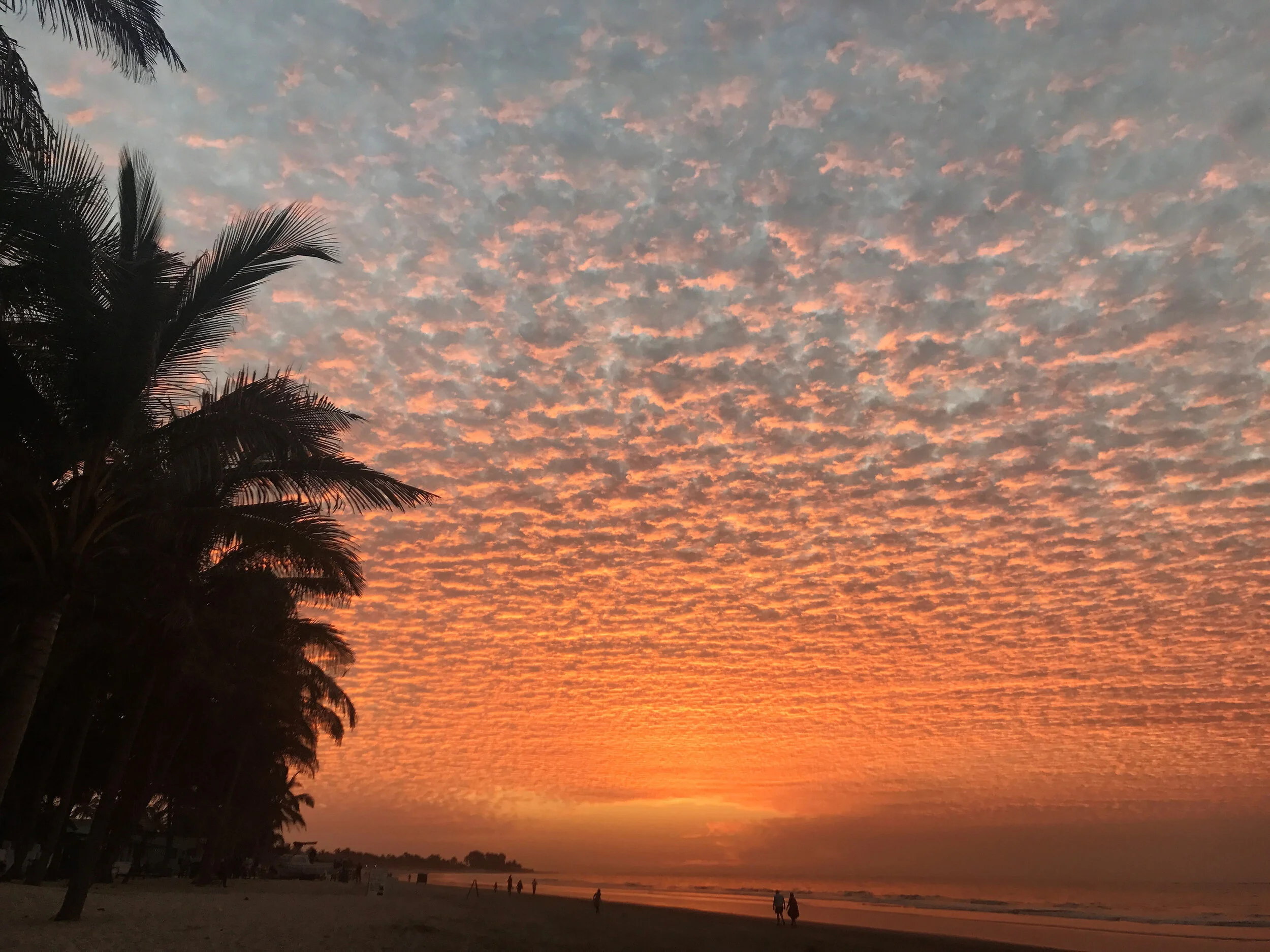 Ninki Nanka Trail — Ninki Nanka Encounters