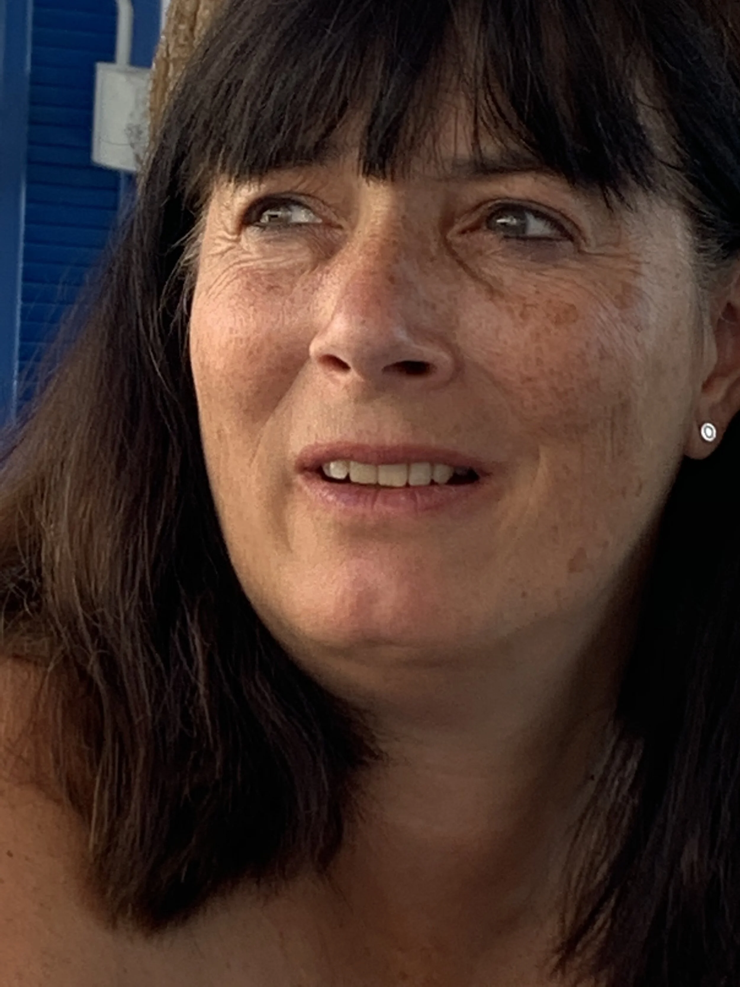 About — Bartelings