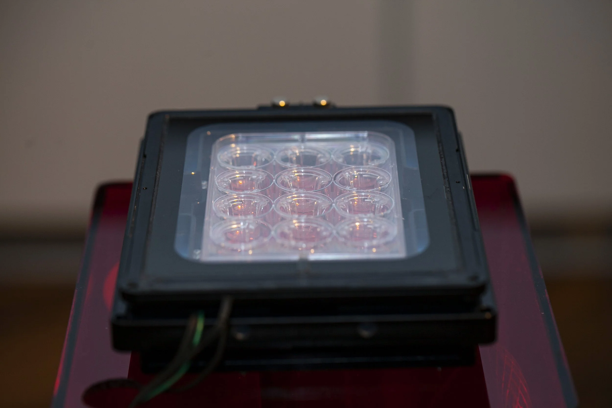 2023 Bio Creation Station — LIVE: Global Community Bio Summit