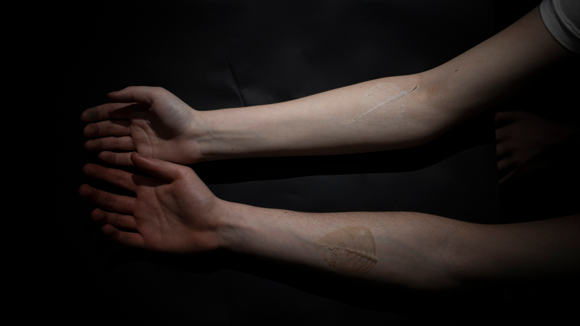 BECOMING PLANT | Laura Rodriguez — LIVE: Global Community Bio Summit