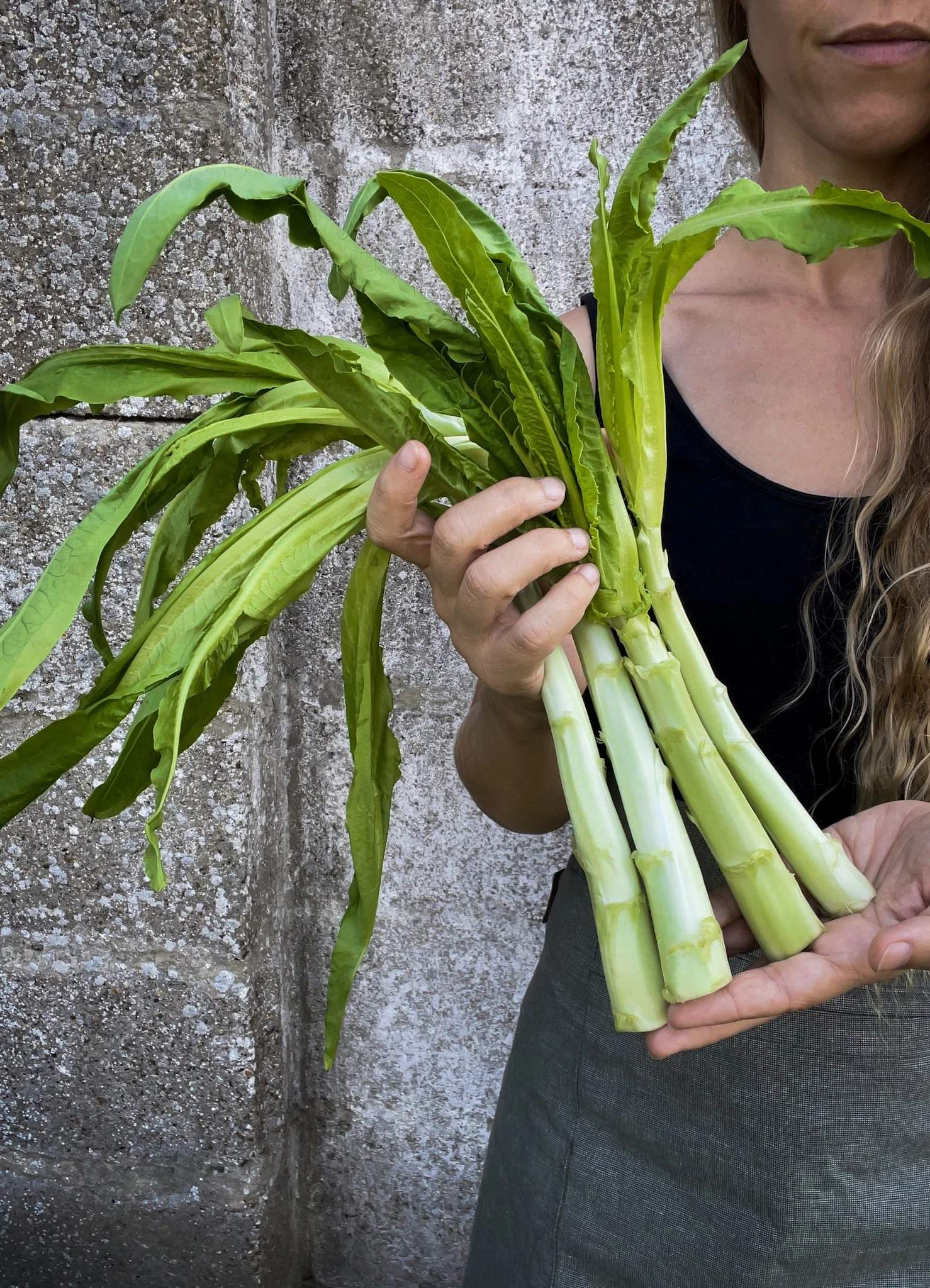 Fabulous Female Founders Interview with She Grows Veg — Lulu's Luxury ...