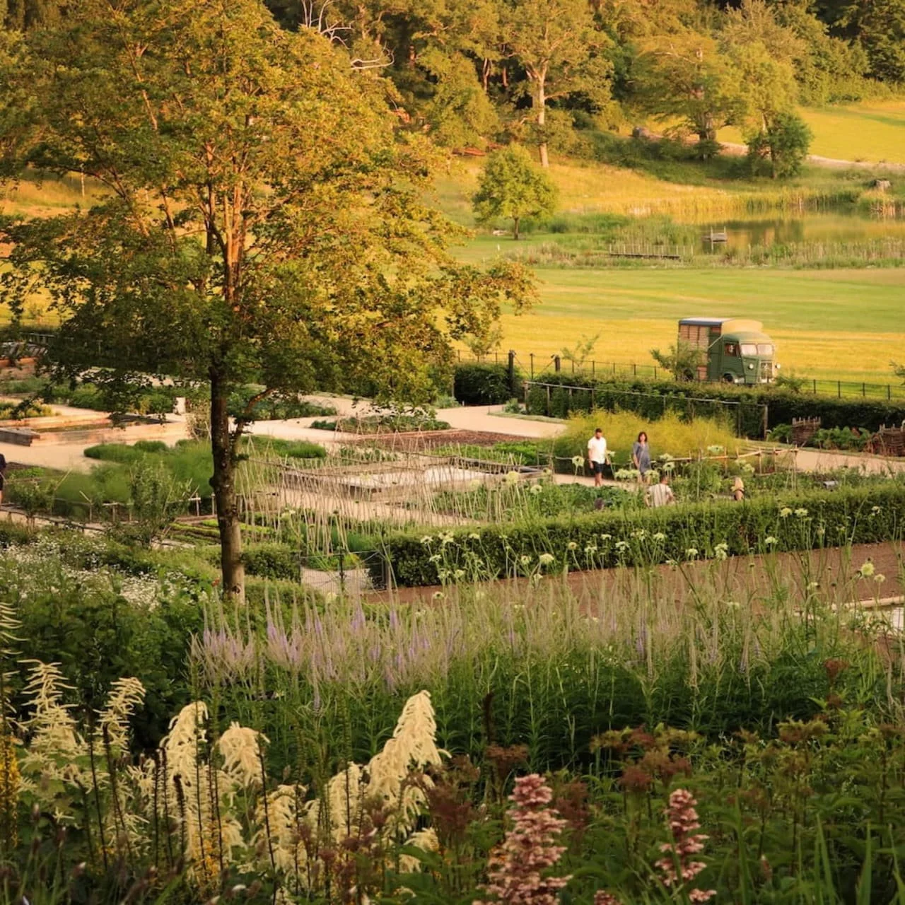 Fabulous Female Founders Interview with She Grows Veg — Lulu's Luxury ...