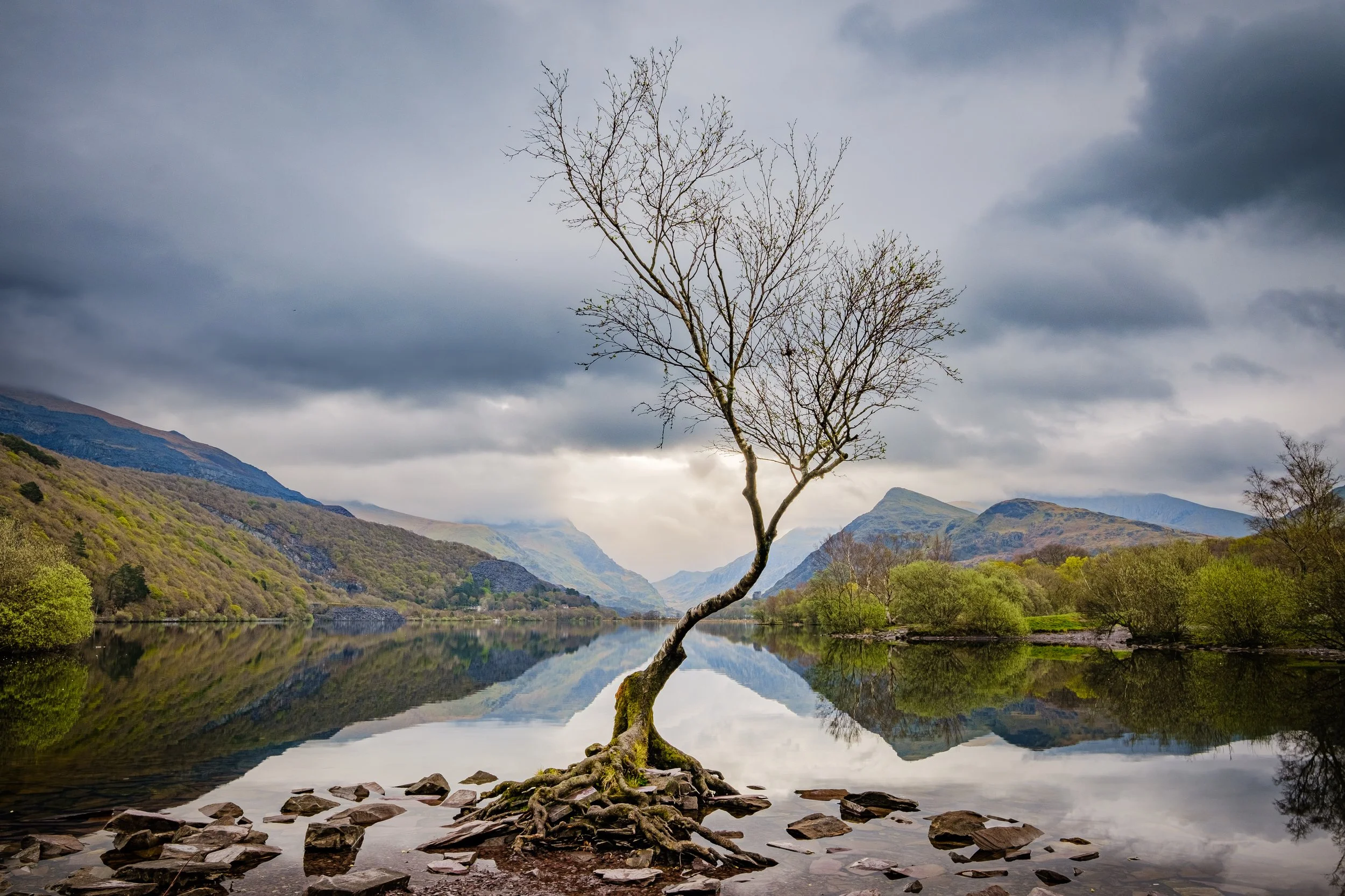 Ian Rawlings Photography