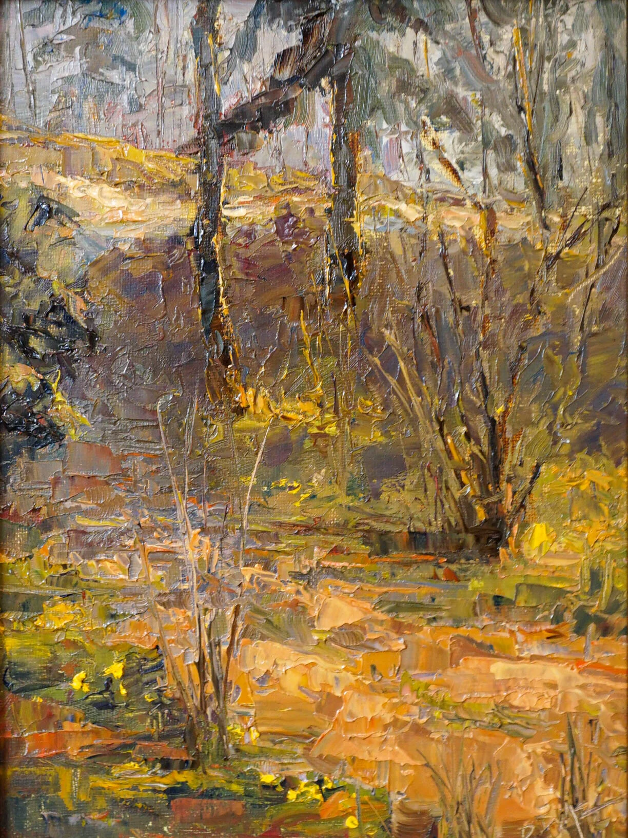 David Diaz — Visual Expansion Gallery