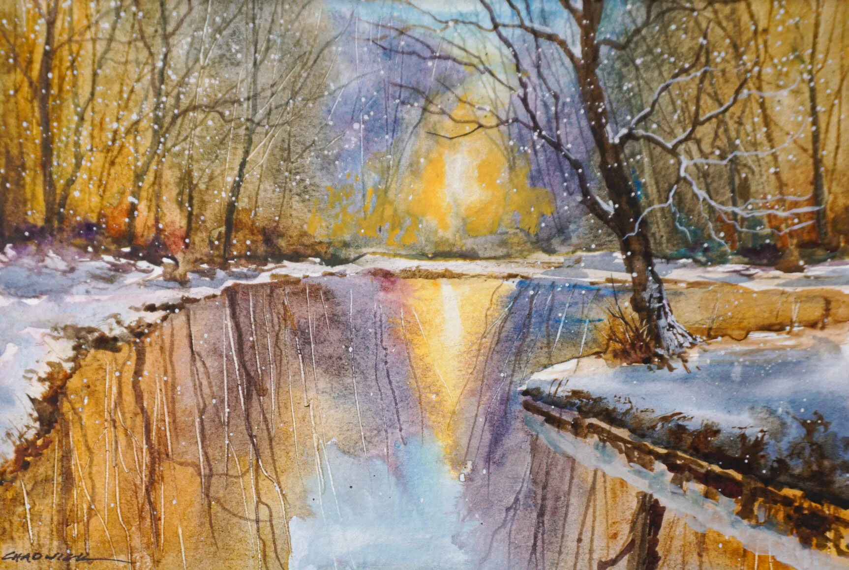 Christopher C. Chadwick — Visual Expansion Gallery