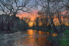 Fred Weyman — Visual Expansion Gallery