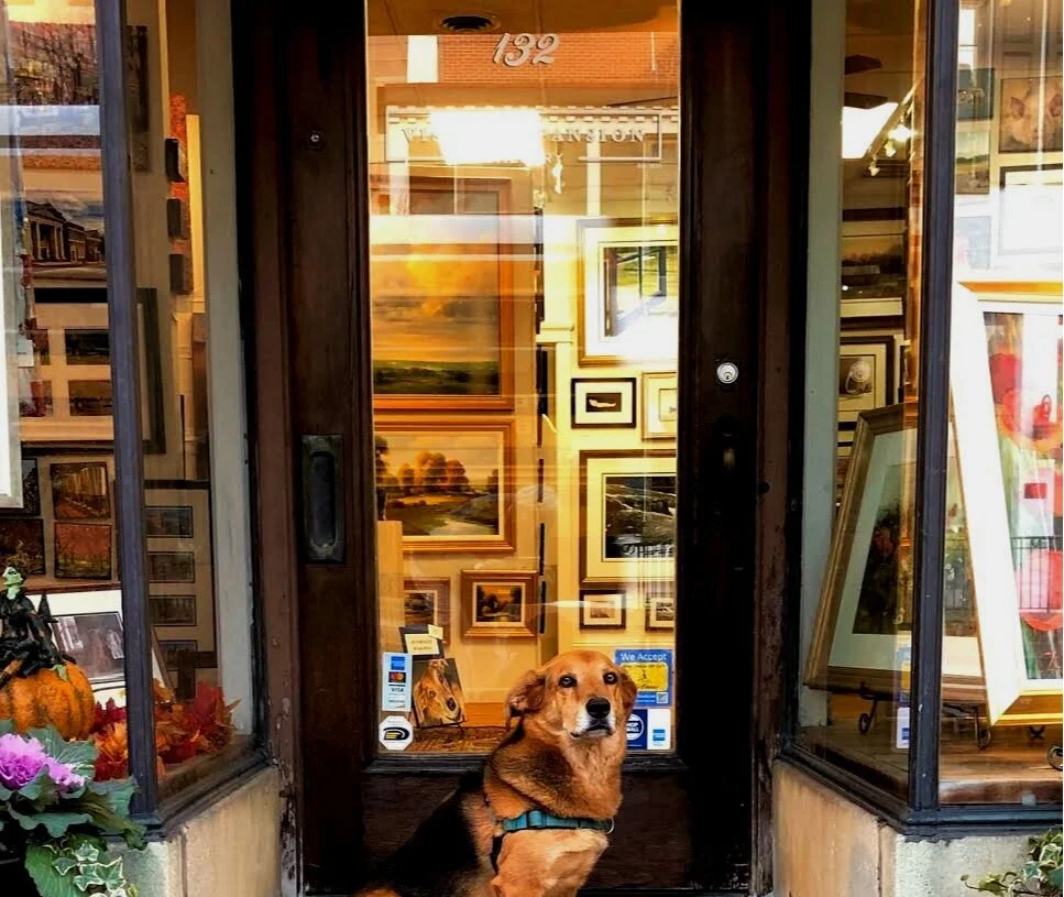 Visual Expansion Gallery