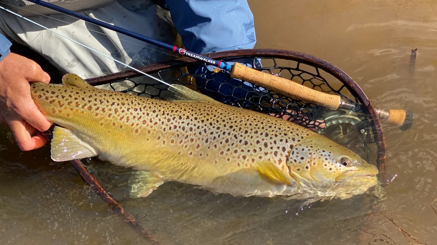Rise Fishing Co.